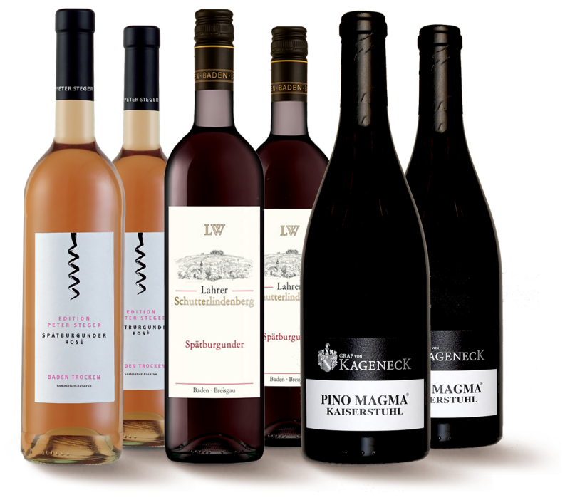 Wein und Spirituosen online kaufen | Badischer Winzerkeller